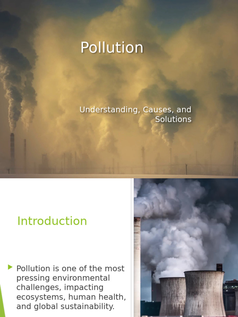 Pollution Presentation | PDF