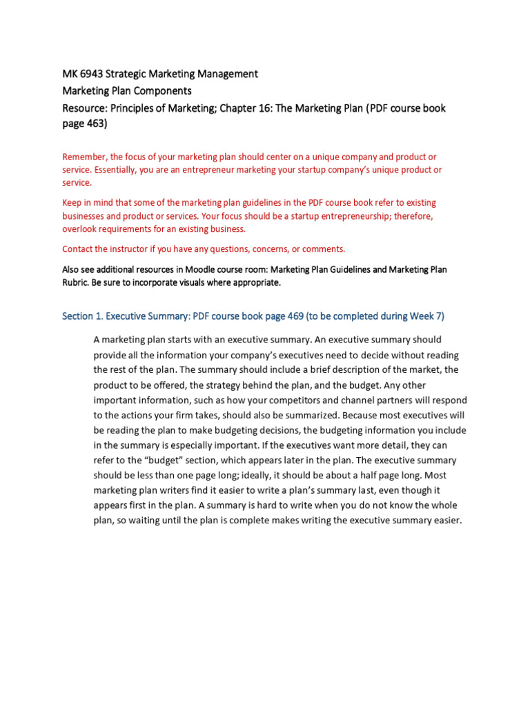 MK 6943 Marketing Plan Components | PDF | Marketing | Marketing Strategy