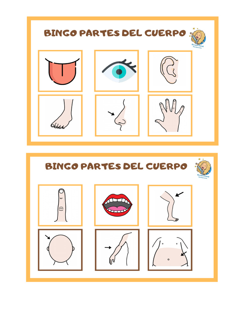 Bingo: Partes del Cuerpo PDF | PDF