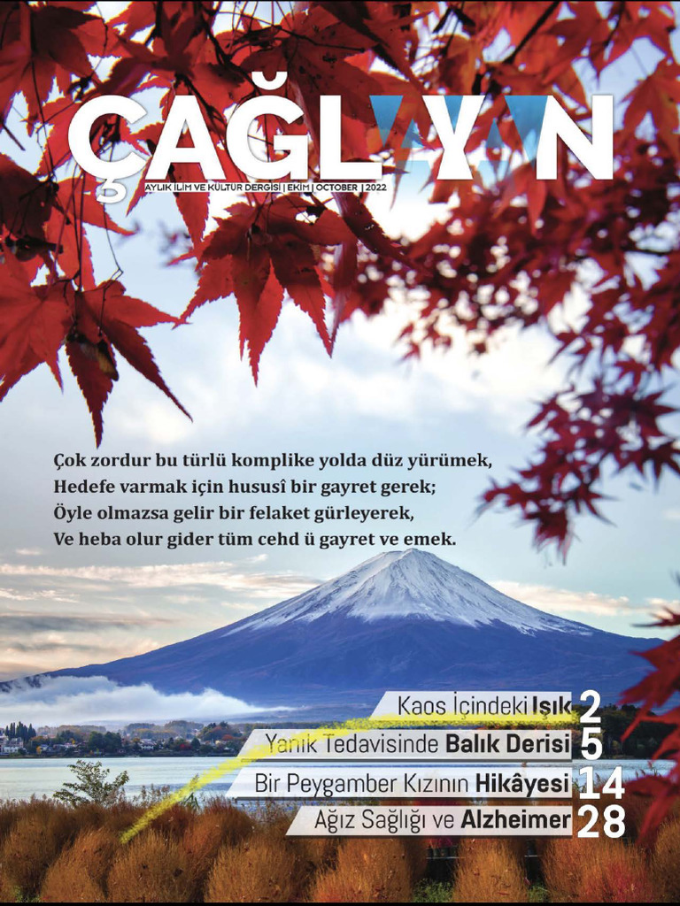 Ekim 2022 | PDF