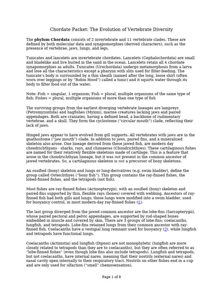 Chordate Packet_The evolution of vert diversity_complete | PDF | Homo ...