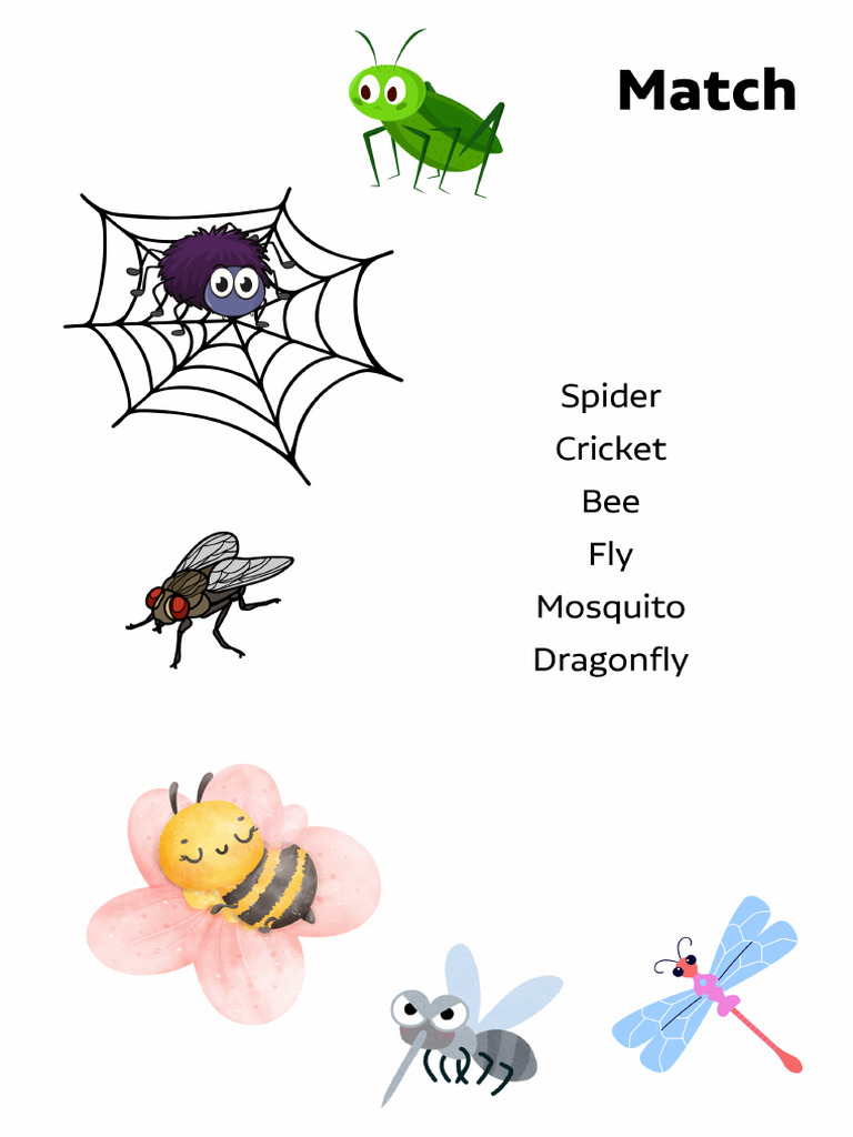 Cartoon Maisy - L10 Bugs | PDF