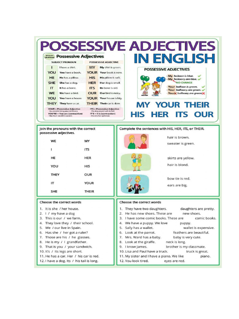 Possessive Adjective Evaluation Sixth Grade | PDF