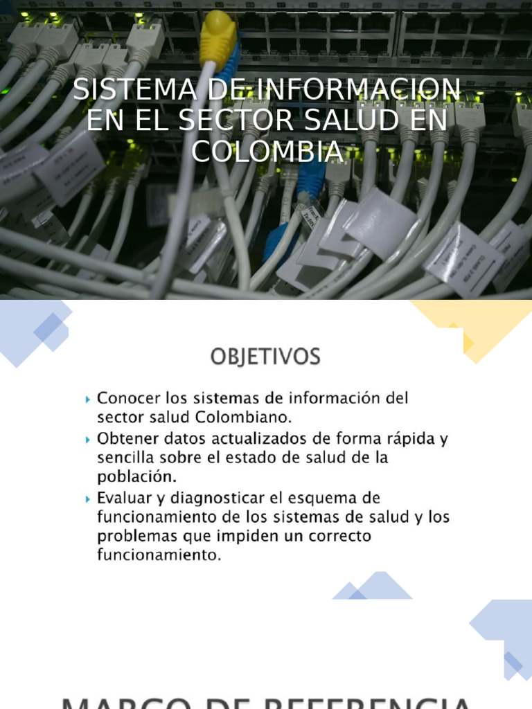 Sistema de Informacion en El Sector Salud En | PDF