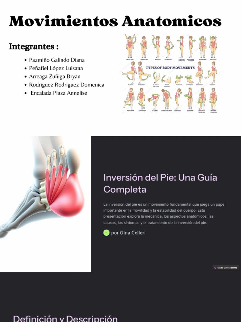 Guía Completa sobre Inversión del Pie | PDF | Pie | Mano