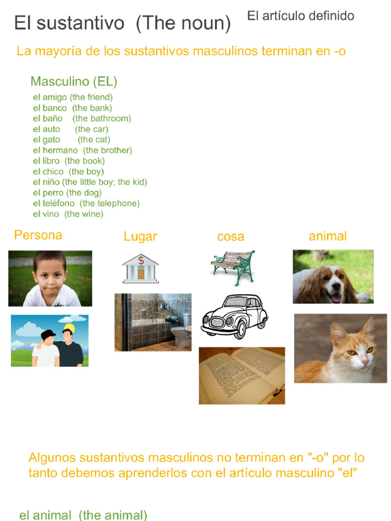 El sustantivo_artículo definido Masculino | PDF