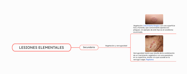 Vegetación y Verrugosidad en Dermatología | PDF