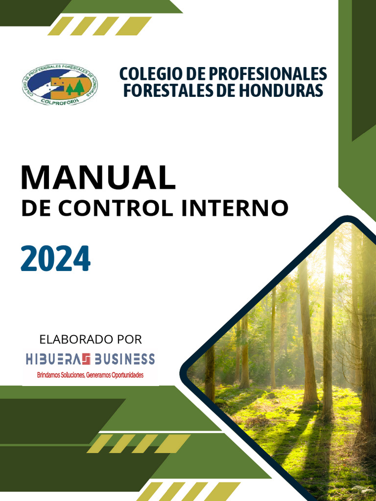 Manual de Control Interno COLPROFORH | PDF | Contabilidad | La ...