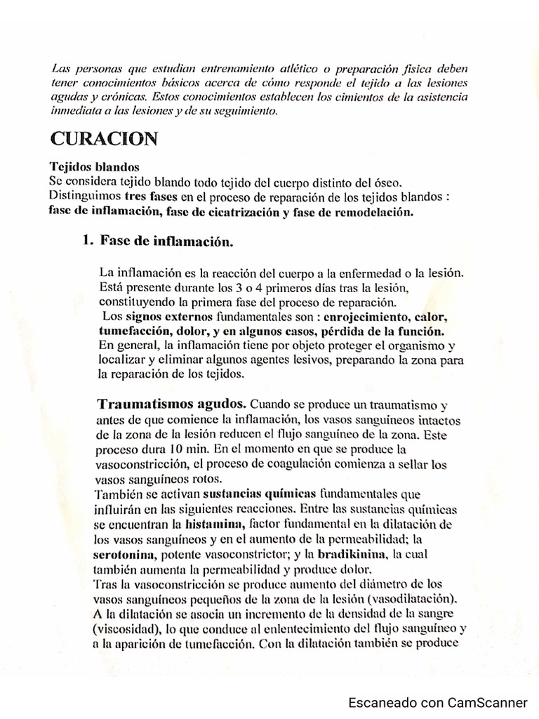 Curacion | PDF