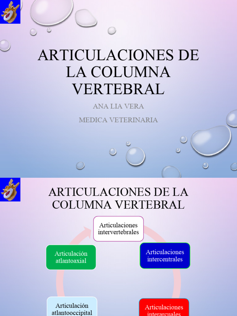 Artro Columna | PDF | Articulación | La columna vertebral