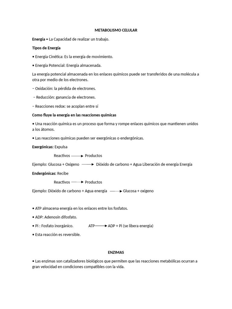 METABOLISMO CELULAR | PDF | Metabolismo | Enzima