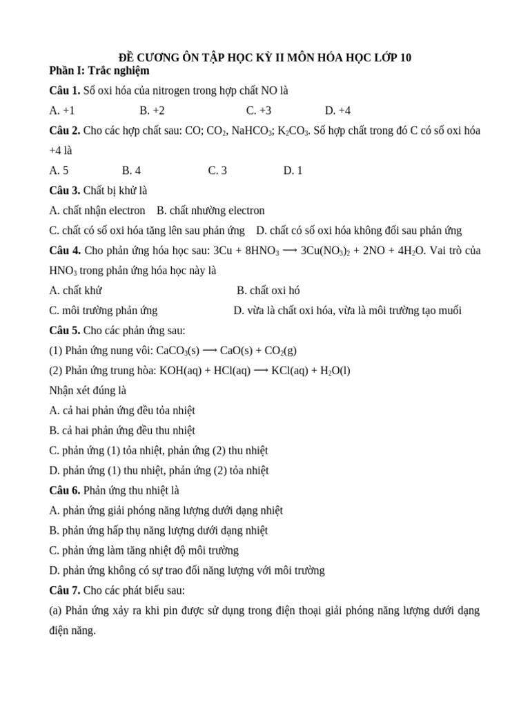 De Cuong Hoa 10 Ky 2 | PDF