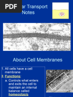 Amoeba Sisters Video Recap | PDF | Cell Membrane | Cell (Biology)