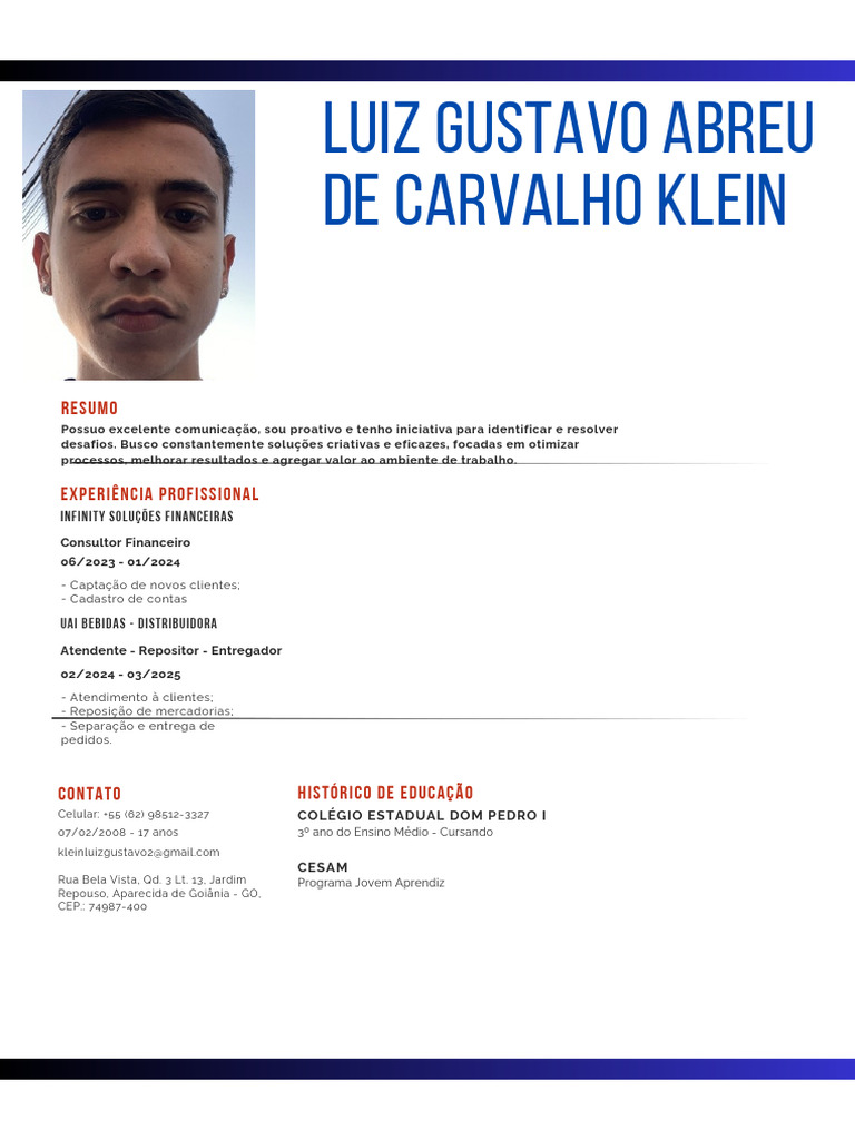 Currículo Luiz Gustavo PDF | PDF