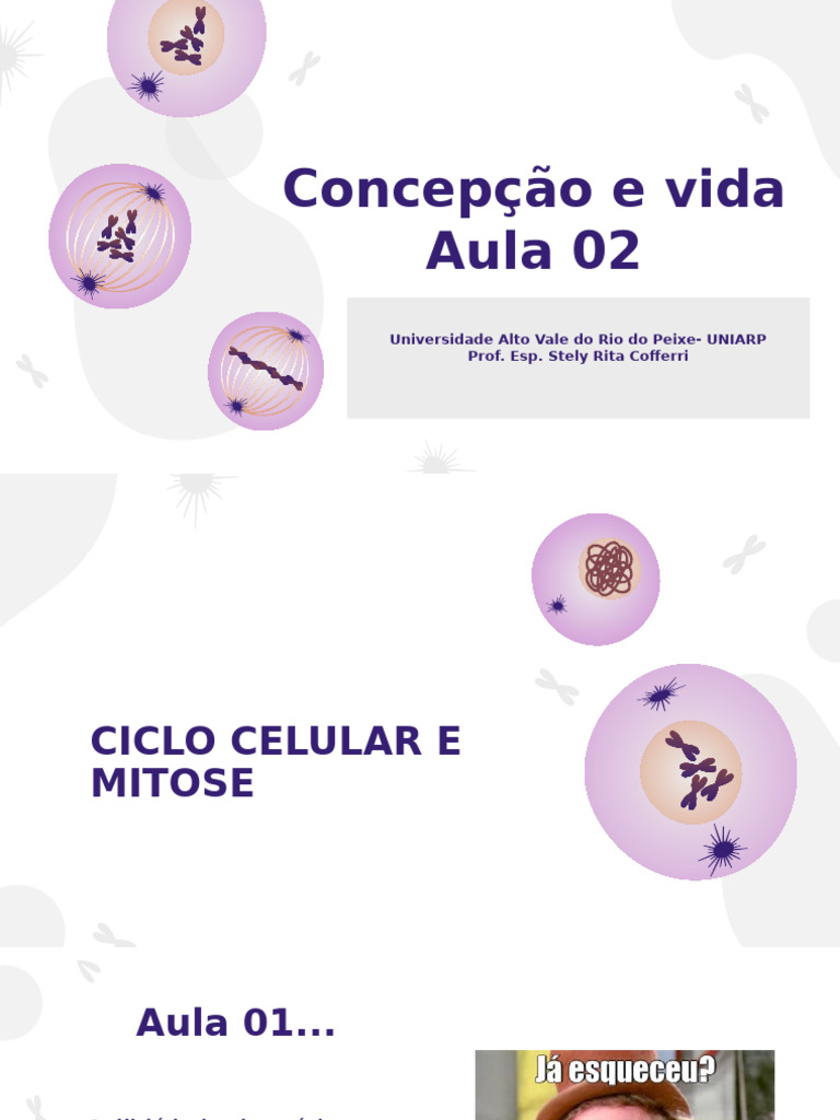 Aula 2 Interfase e Mitose | PDF | Mitose | Meiose