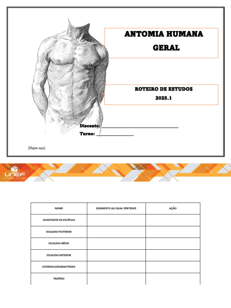 Roteiro de Prática - Anatomia Humana | PDF | Sistema Locomotor ...