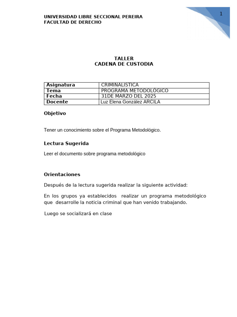 Taller Programa Metodologico | PDF