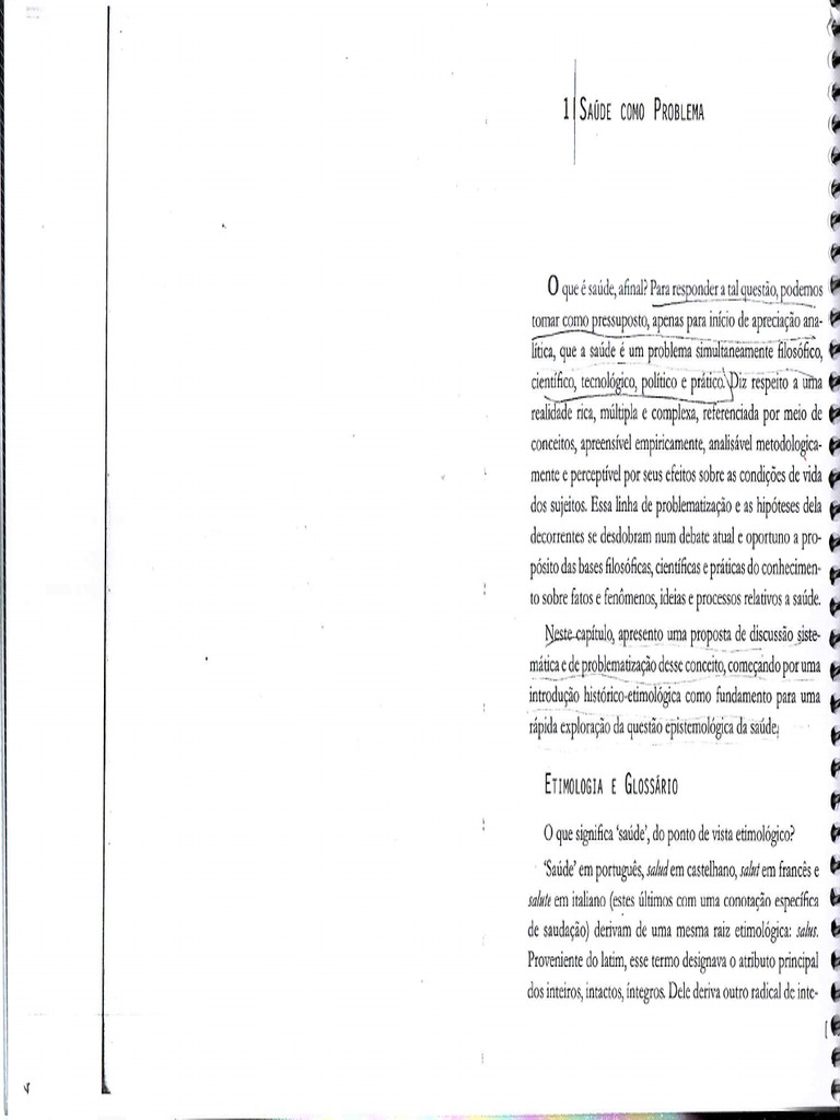 Texto 01 Almeida 2011 - Cap 1 Sade Co | PDF