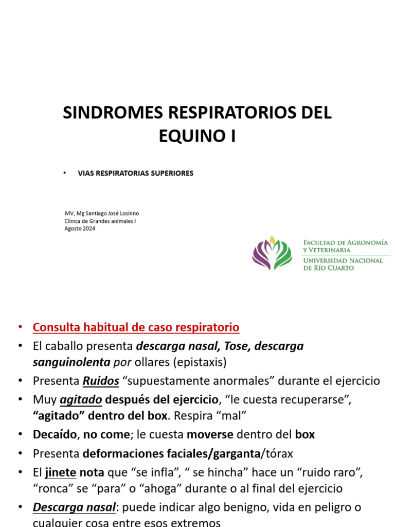 Síndromes Respiratorios en Caballos | PDF | Laringe | Tos