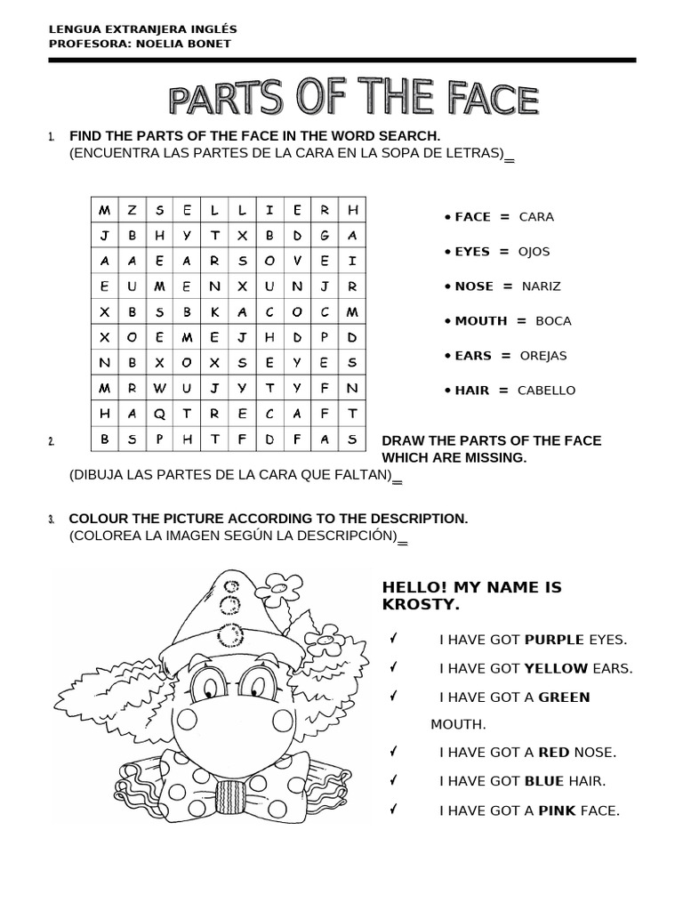 Parts of The Face 01 | PDF