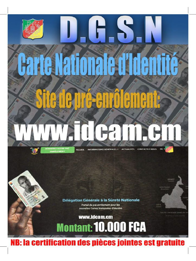 Flyers DGSN CNI ?? | PDF
