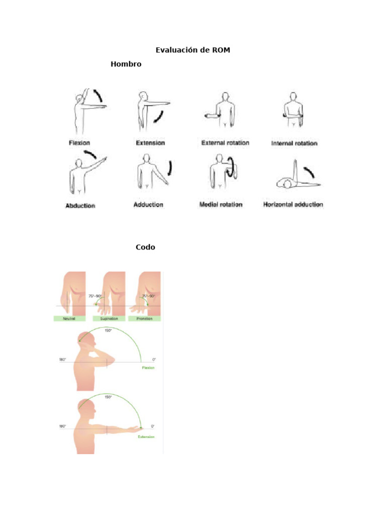 ROM Hombro y Codo | PDF