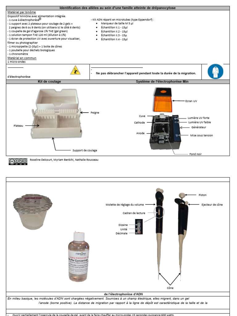 Protocole Electrophorese Drepano Complet | PDF | Électrophorèse ...