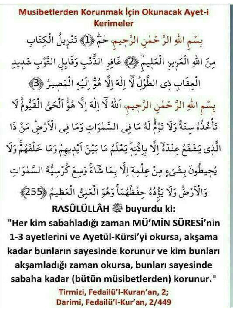 Mystique Hamim | PDF