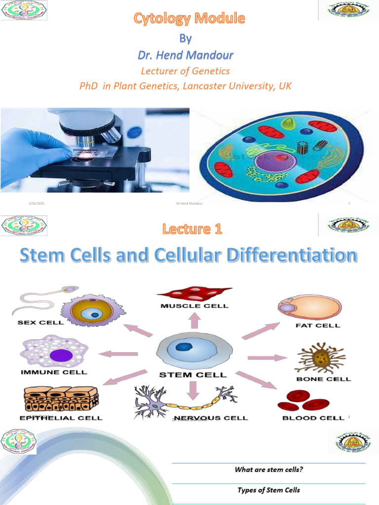 Cytology Lec 2 | PDF | Cell Potency | Stem Cell