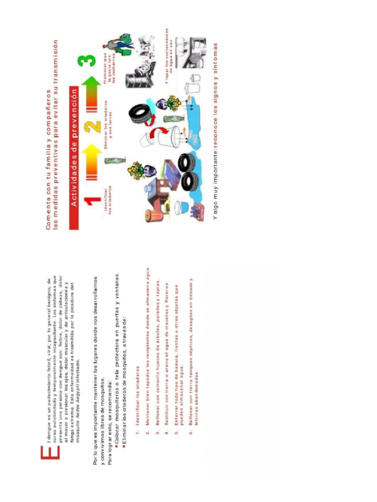 diptico 2 dengue | PDF