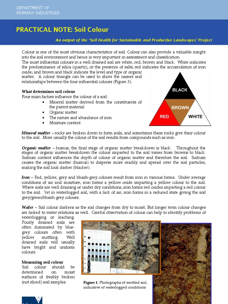 Soil Colour | PDF | Soil | Organic Matter
