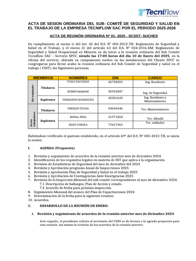 Acta Ordinaria CSST 2025-01 | PDF | Seguridad y salud ocupacional ...