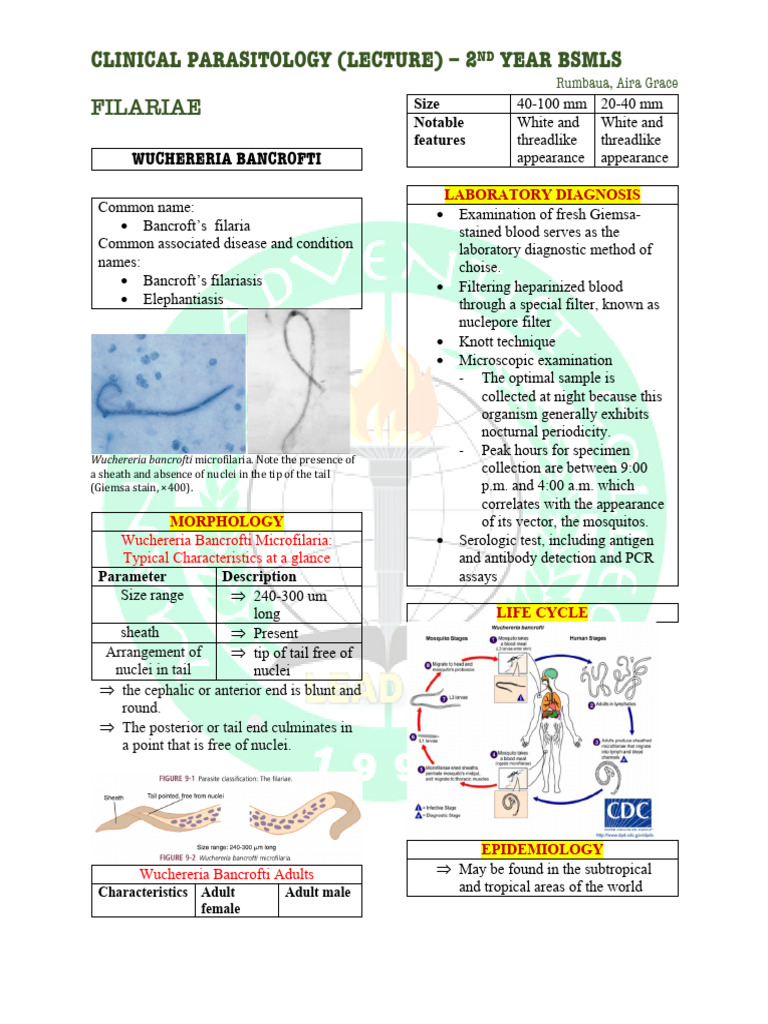 Filariae Parasitology | PDF | Clinical Medicine | Parasitology