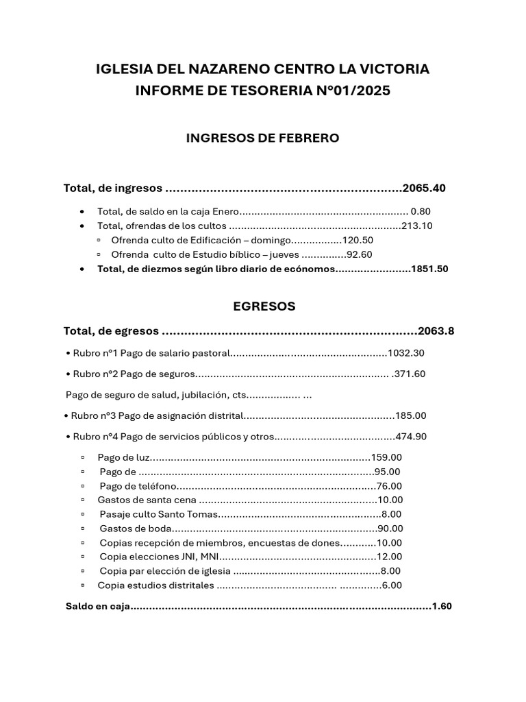 Informe de Tesorería Febrero 2025 | PDF