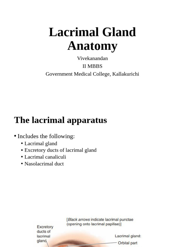 Lacrimal Gland Anatomy | PDF | Human Anatomy | Human Head And Neck