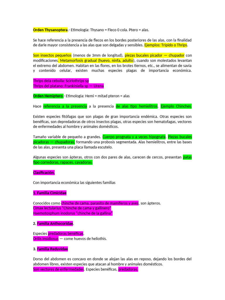 Ordenes de Importancia-1 | PDF | Mosquito | Insectos