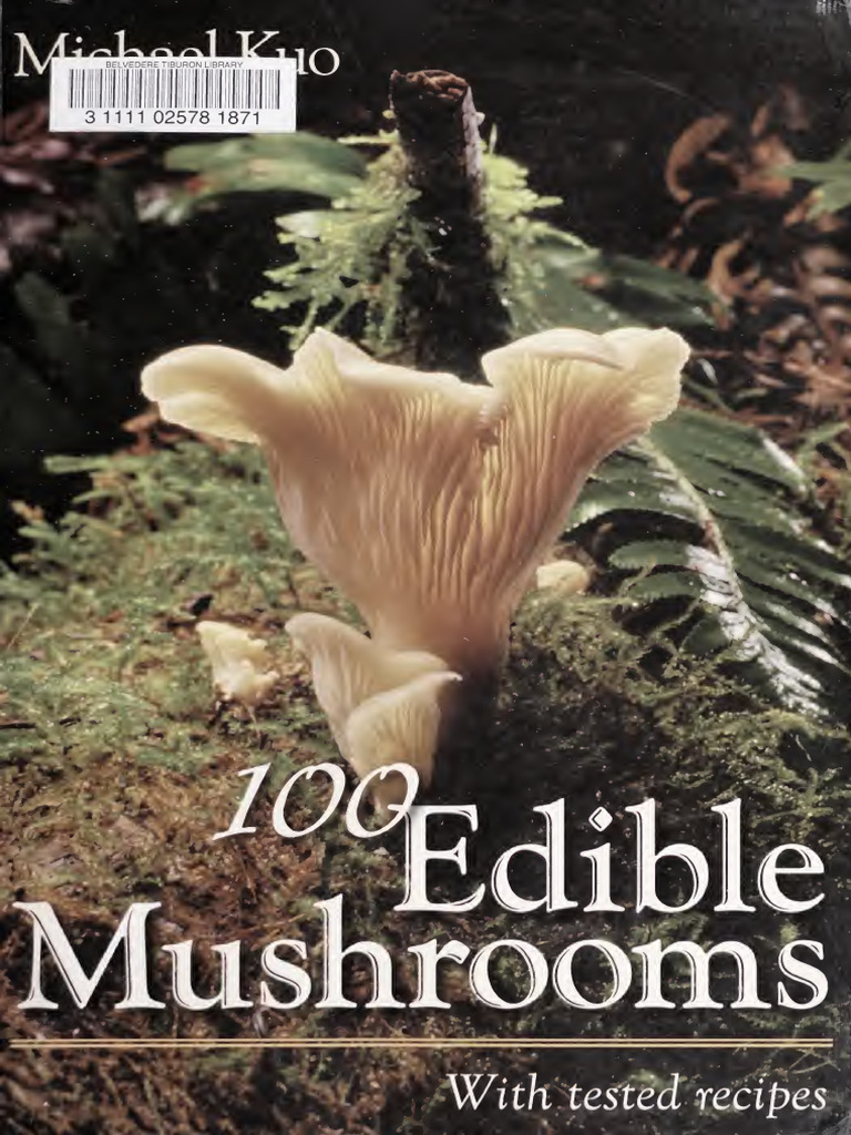 Mushrooms | PDF | Mushroom | Mycology