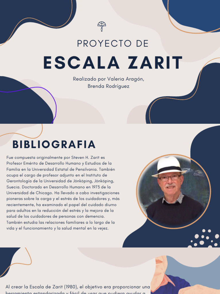 Escala de Zarit: Evaluación del Cuidador | PDF | Burnout ocupacional ...