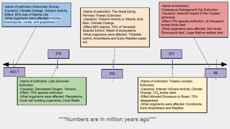 Shaurya Biswas - Mass Extinction Timeline - 7161586 | PDF | Earth Sciences