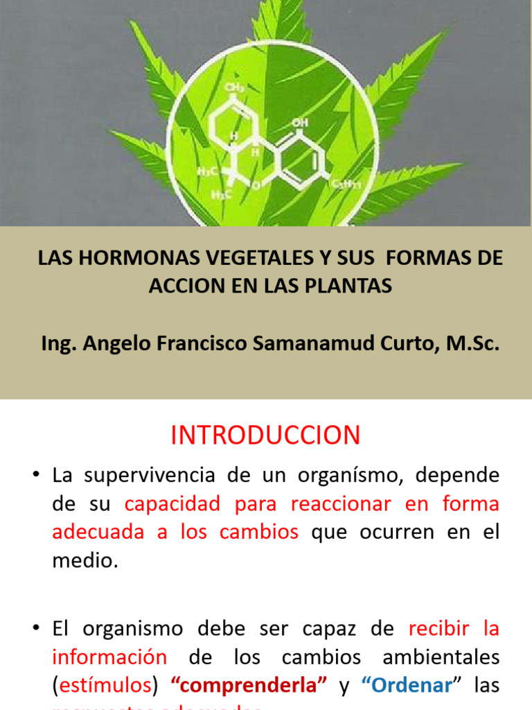 FITOHORMONAS | PDF | Hormona Vegetal | Auxina