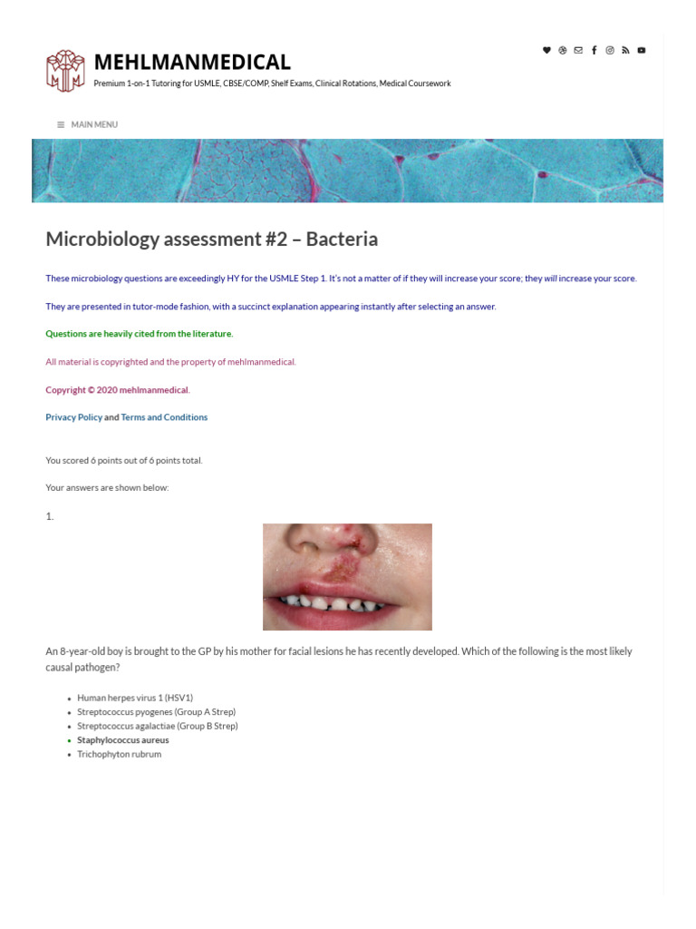 MM Microbiology Assessment #2 - Bacteria-Merged | PDF | Streptococcus ...