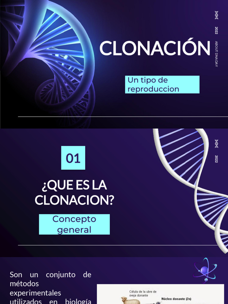 Tipos y Desventajas de la Clonación | PDF | Clonación | Adn