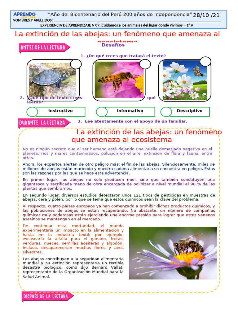 Act 1 Plan Lector Las Abejas Jueves 28-10-21 | PDF | Abejas | Extinción