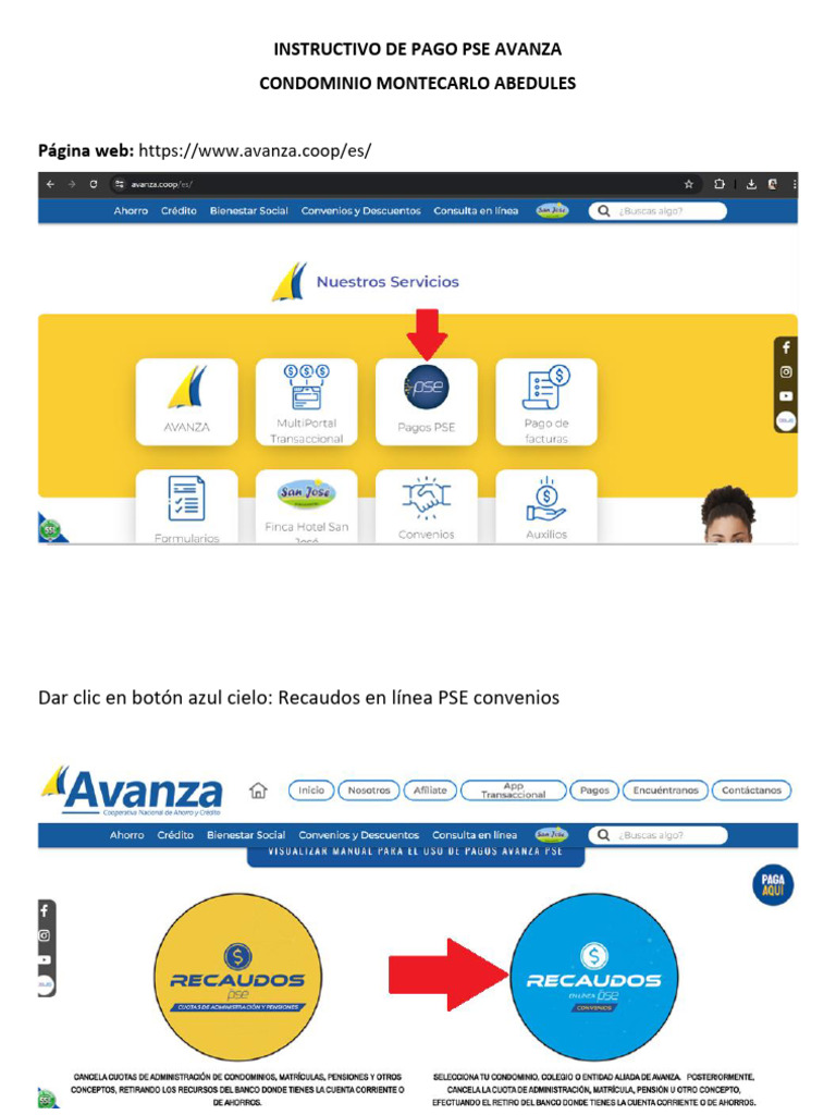 Instructivo Pagos Pse Actual | PDF
