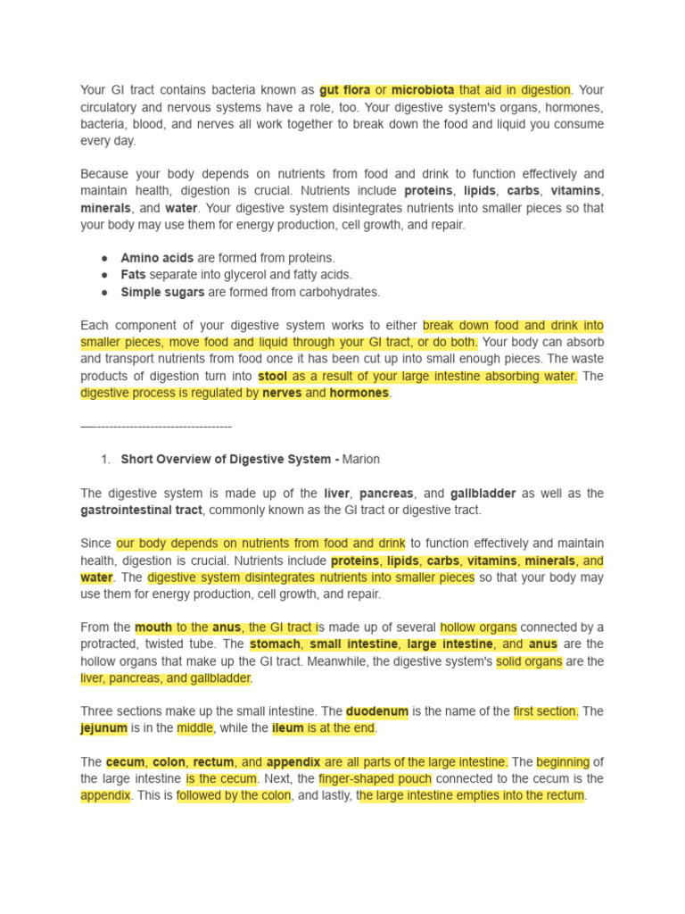 Digestive System Reporting Dev Bio | PDF | Peritoneum ...