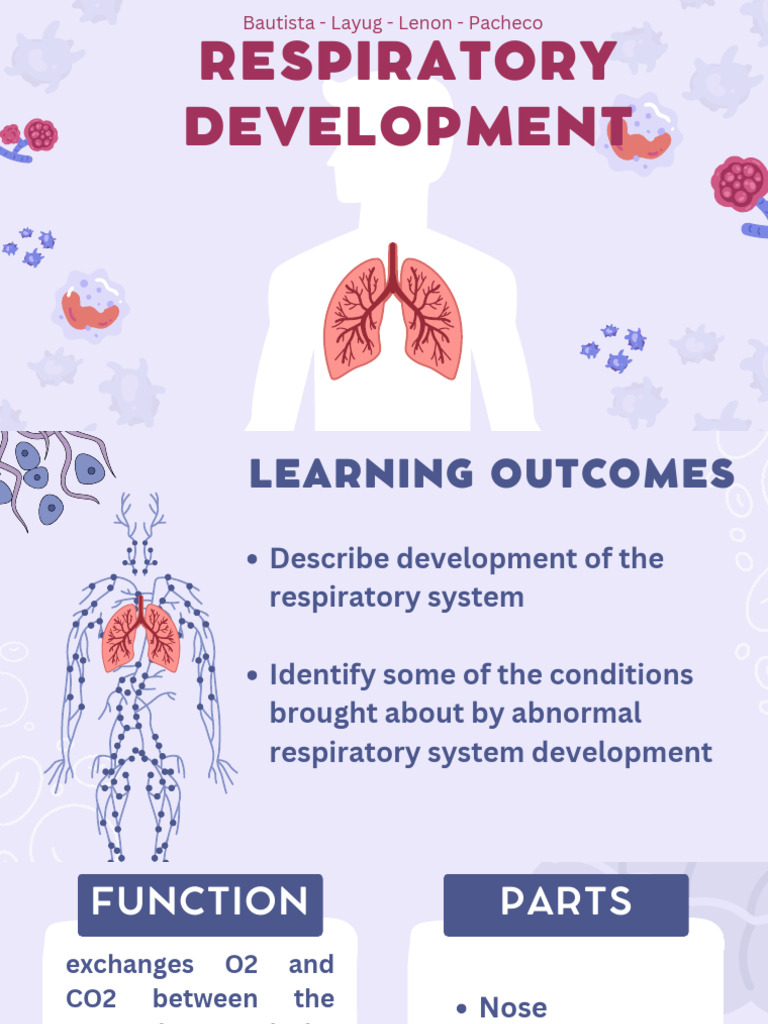DEVBIO Respiratory System 2 | PDF | Lung | Larynx