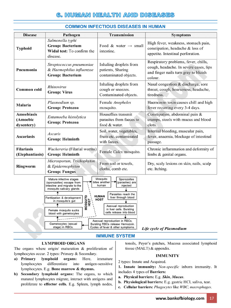8 Human Health N Diseases Capsule Notes | PDF | Cancer | Morphine