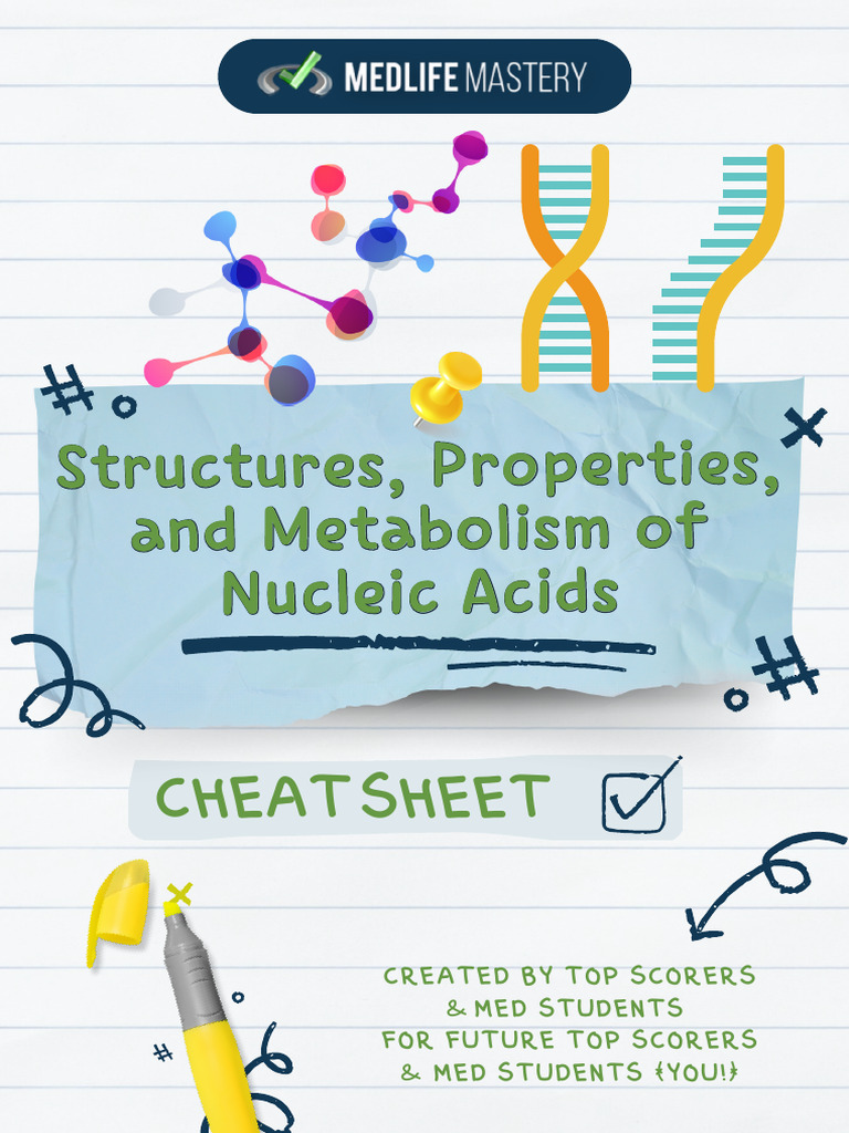 Structures Properties and Metabolism of Nucleic Acids | PDF | Dna ...
