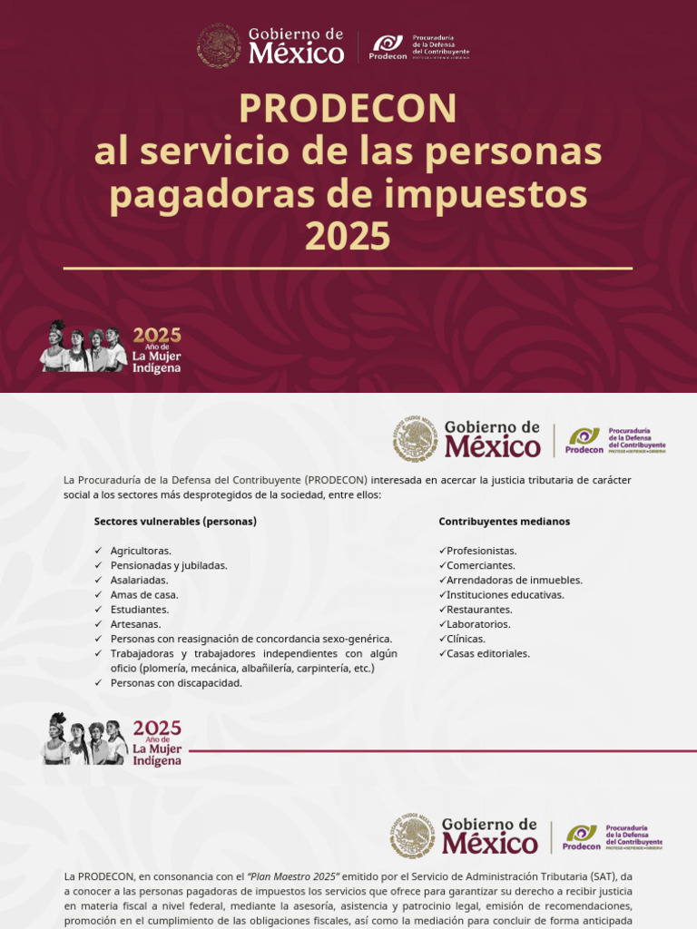 Acciones Prodecon 2025 | PDF | Impuestos