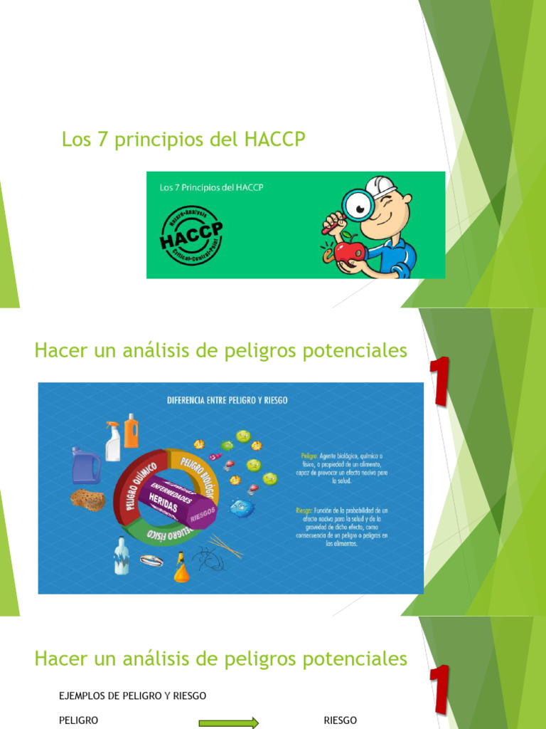 Los 7 Principios Del HACCP | PDF | Análisis de Riesgo y Puntos Críticos de Control | Riesgo